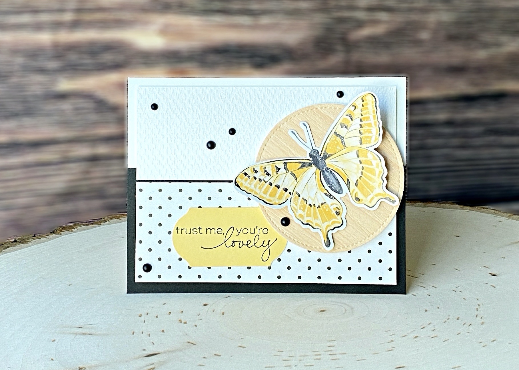Dandy Garden Suite | Stampin' Up! | StampWithTami.com