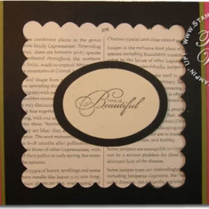 VIDEO TUTORIAL: Double Swing Card - Stampin' Up! Demonstrator: Tami ...
