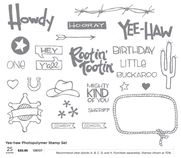 New Photopolymer Set: CAn I get a Yee-Haw? - Stampin' Up! Demonstrator ...