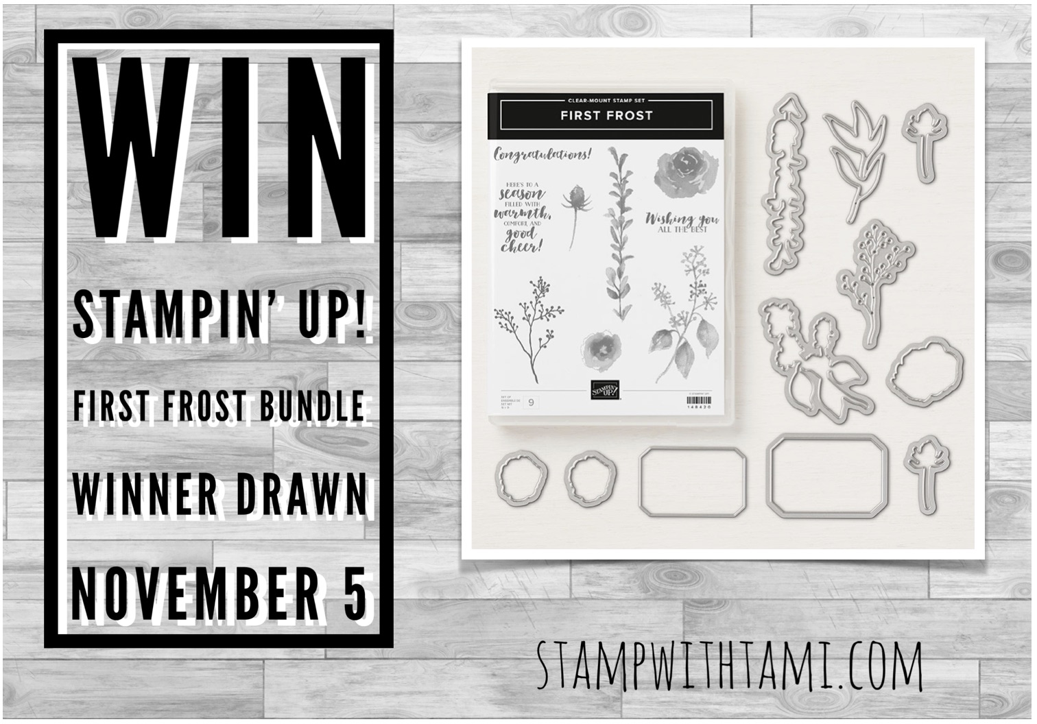 VIDEO: Frosted Floral Suite - Stampin Scoop Show Episode 66 - Stampin ...