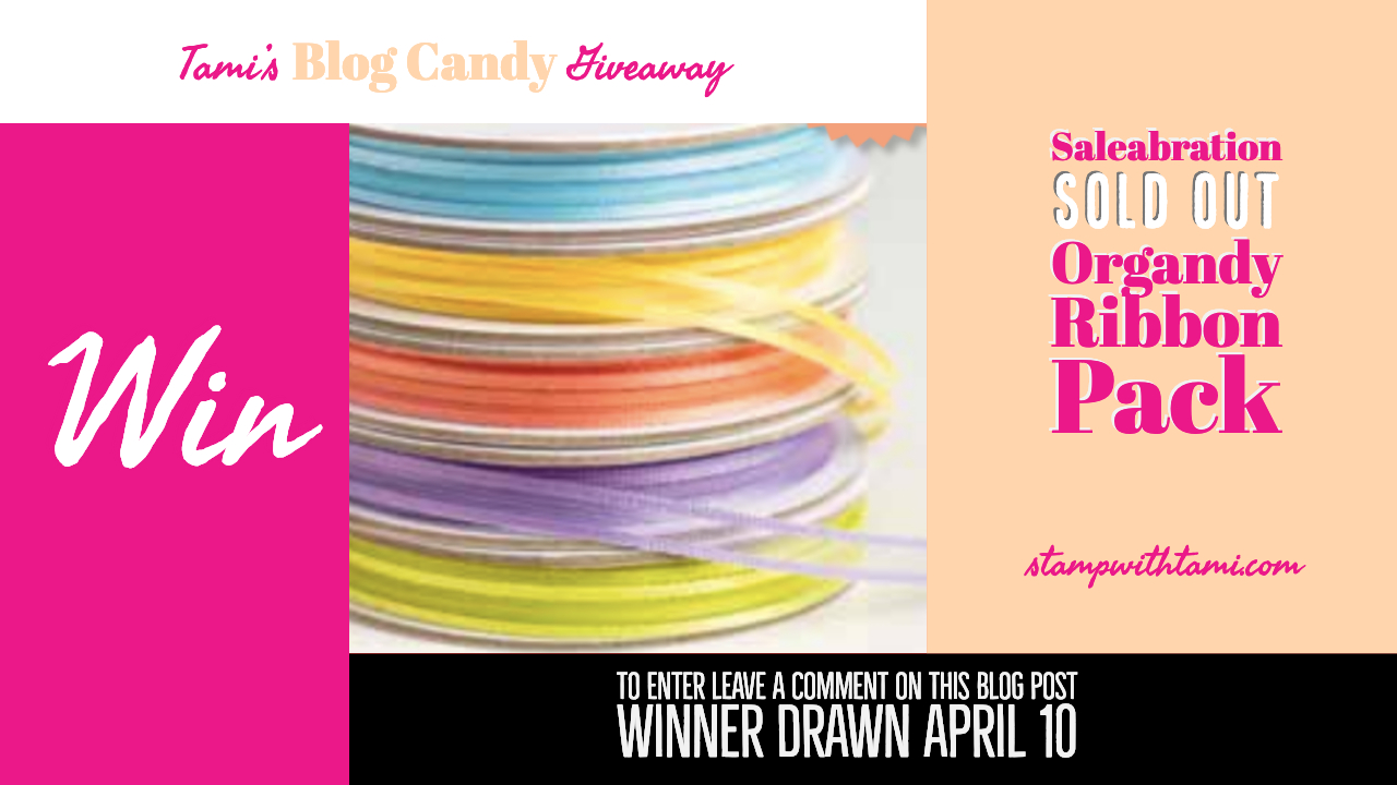 BLOG CANDY GIVEAWAY: Sold Out SAB Organdy Ribbon Pack - Stampin' Up ...
