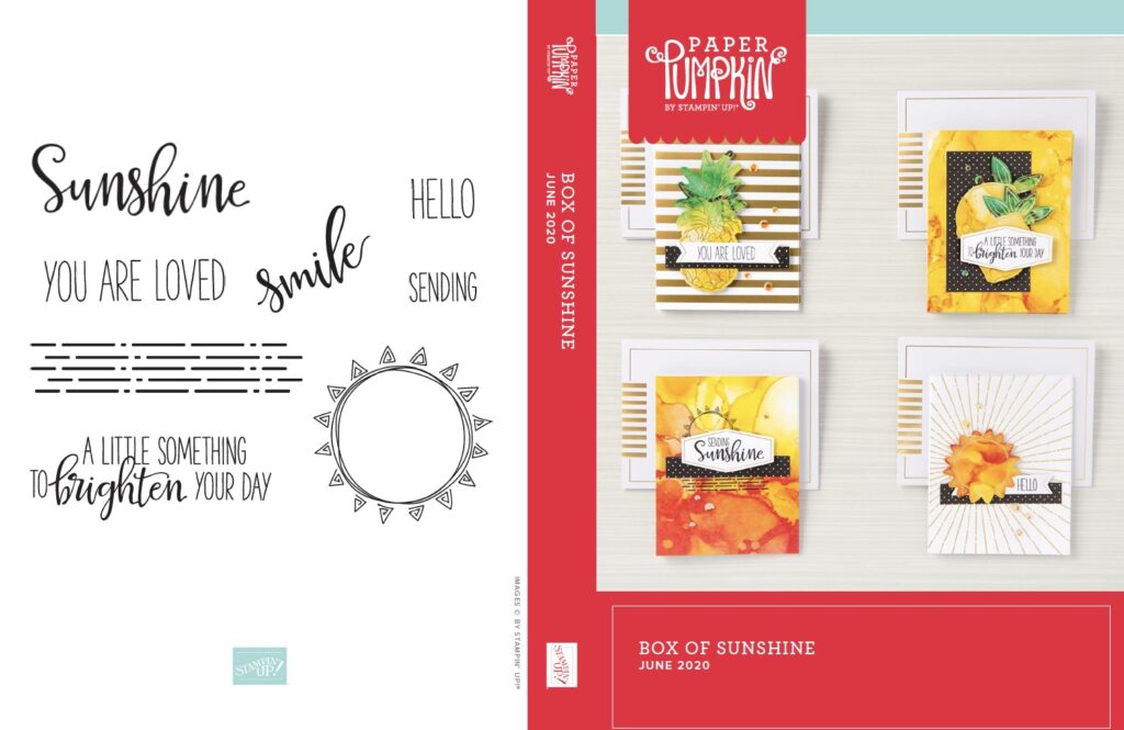 A Box Of Sunshine Card Kit | Stampin' Up! | StampWithTami.com