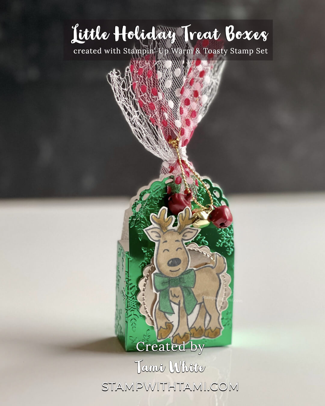 Holiday Treat Boxes | Watch Video & Create Your Own!