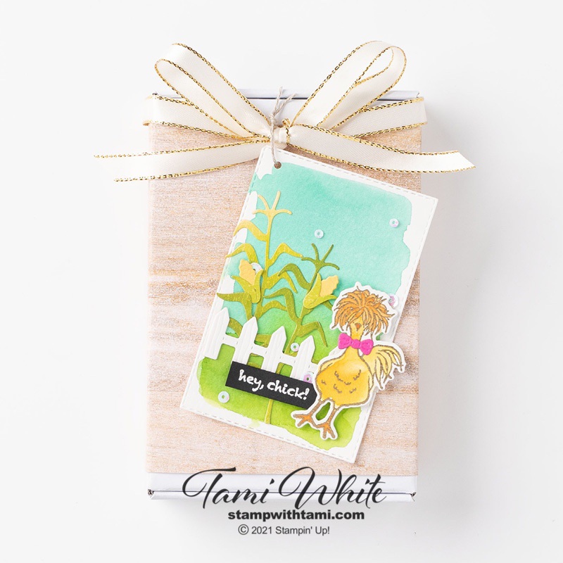Hey Chick Is Back! | Stampin' Up! | StampWithTami.com
