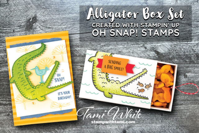 Oh Snap Card & Treat Box Tutorial | Stampin' Up! | StampWithTami.com