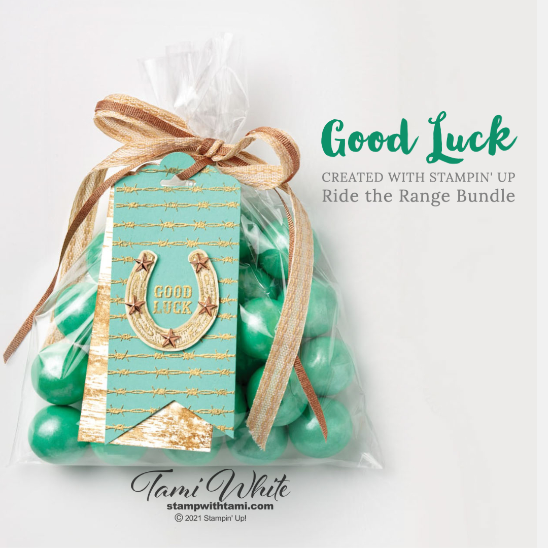 Good Luck Treat Bag Tutorial | Stampin' Up! | StampWIthTami.com