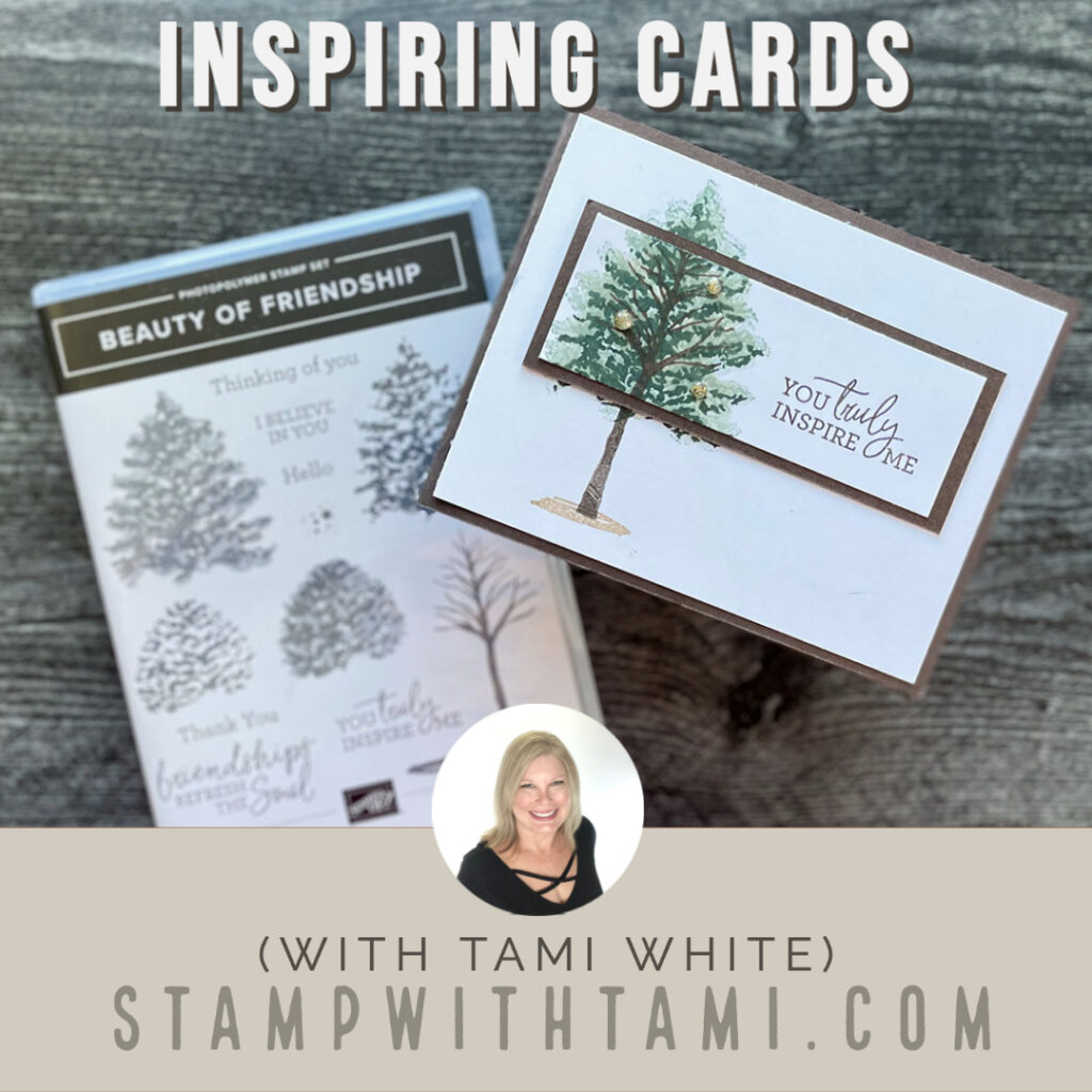 Inspiring New Catalog Cards | Stampin' Up! | StampWithTami.com