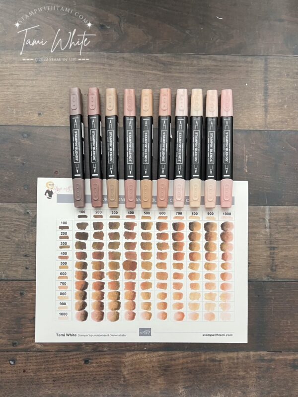 Blending Techniques Featuring the Stampin Up All Together Collection