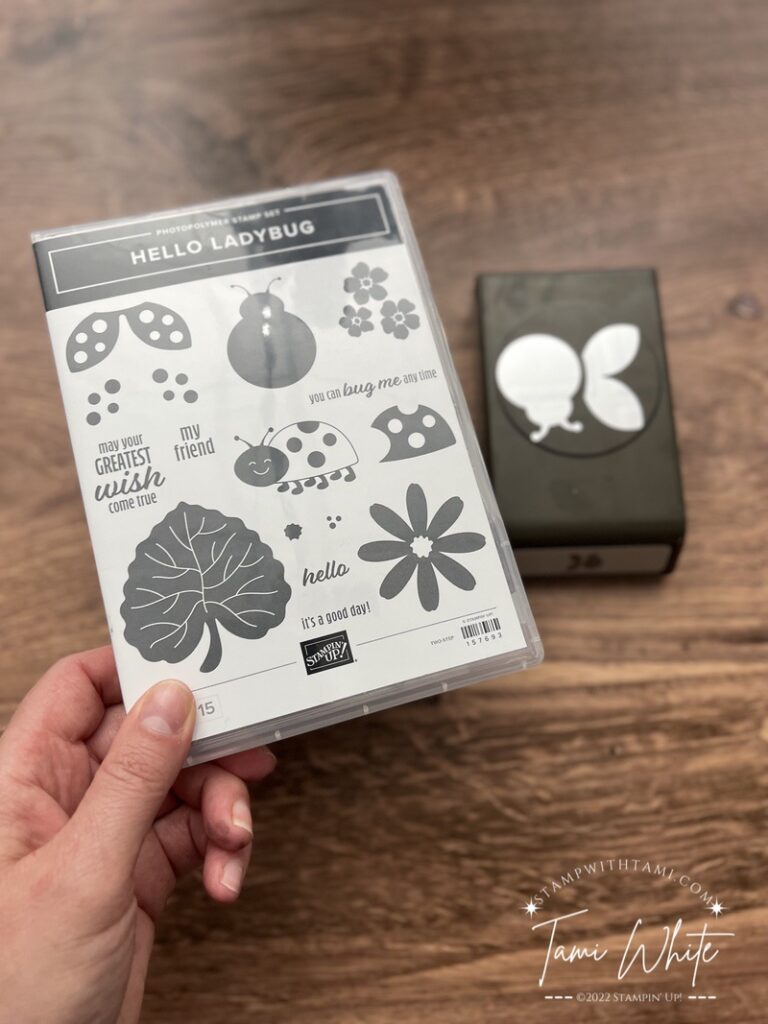 Ladybug Series | Stampin Up | StampWithTami.com