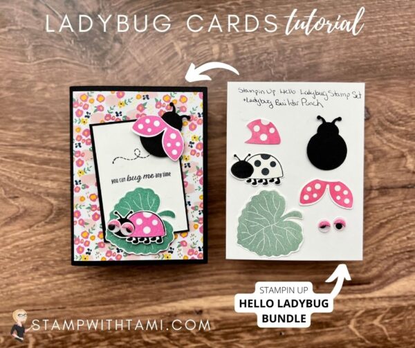 Ladybug Series | Stampin Up | StampWithTami.com