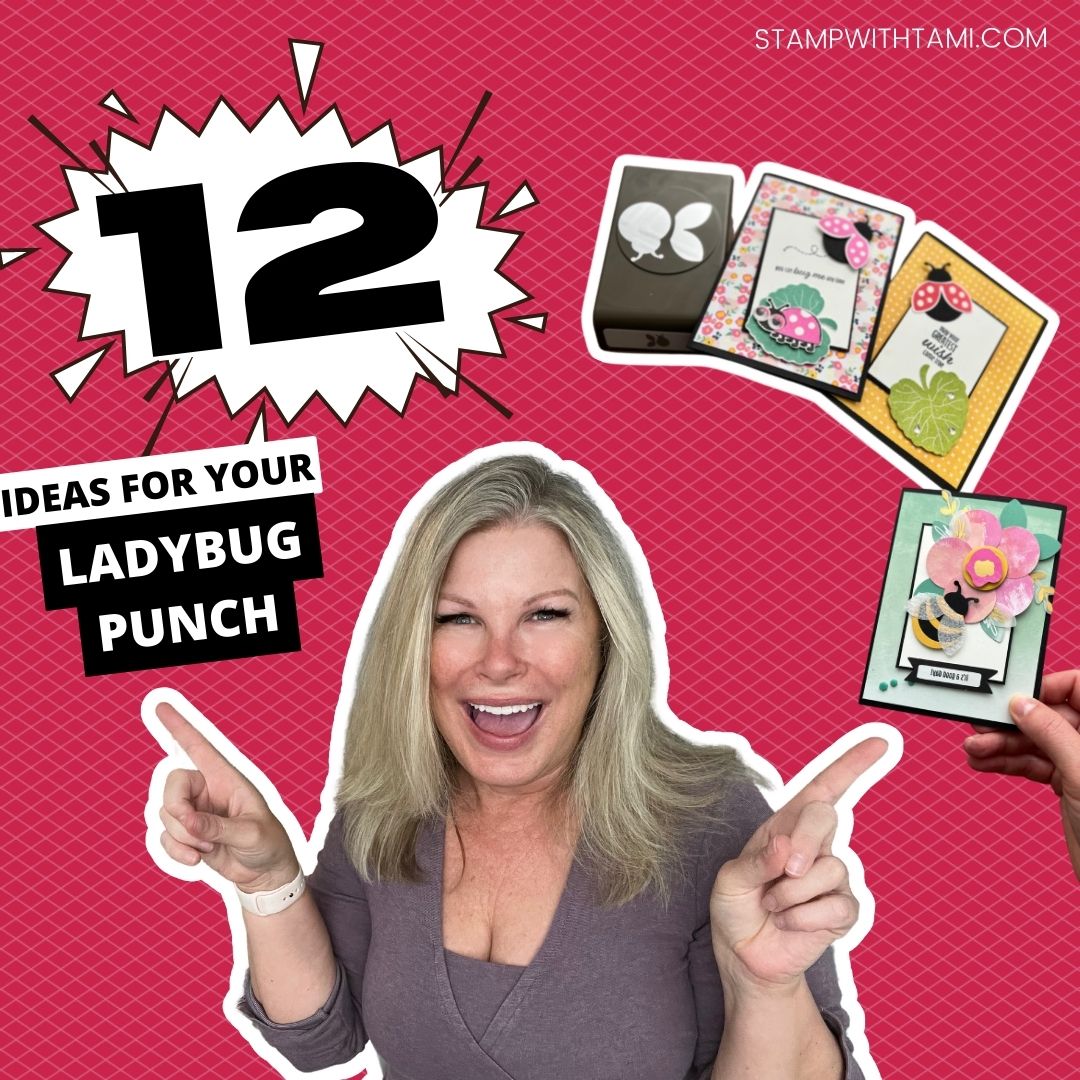 BLOG HOP & VIDEO: Awesome ideas for your Ladybug Punch [Ladybug Series ...