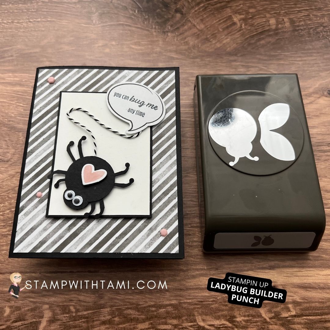 SPIDER & FLY CARDS | Stampin Up | StampWithTami.com