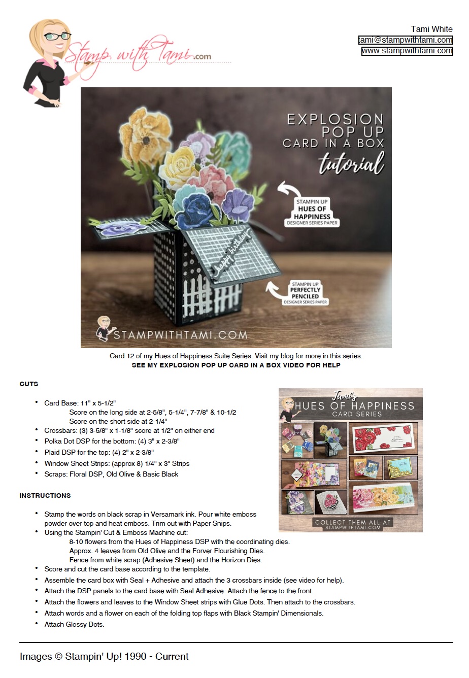 Explosion Pop Up Card in a Box [Hues of Happiness Series Card 12 ...