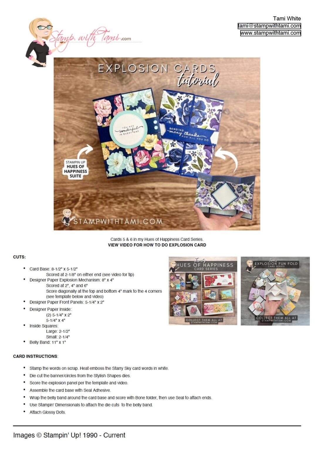 Explosion Cards [Hues of Happiness Series Cards 5 & 6] Stampin Up Fun ...