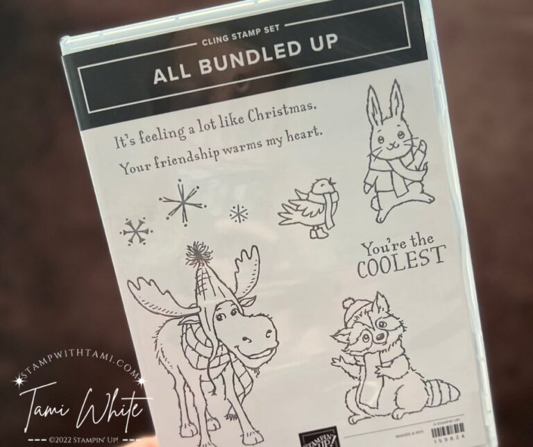 Yeti to Party [Side Step Series Card 7] | Stampin Up Fun Fold Cards