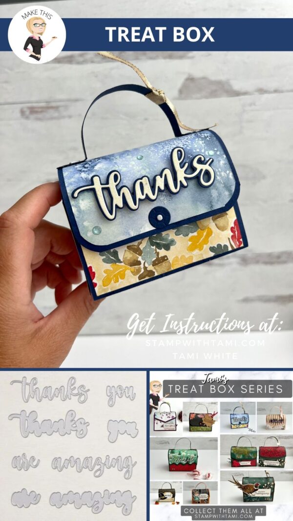Amazing Thanks [Treat Box Series #3] | Stampin Up Fun Fold Cards