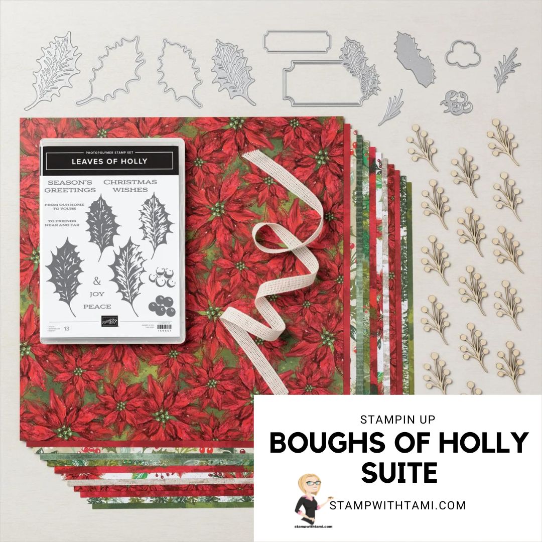 Boughs of Holly [Treat Box Series #9 & 10] | Stampin Up Fun Fold Cards
