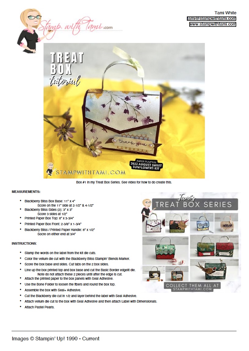 BLOG HOP & VIDEO: DIY TREAT & GIFT BOXES [BOX #1] | Stampin Up ...