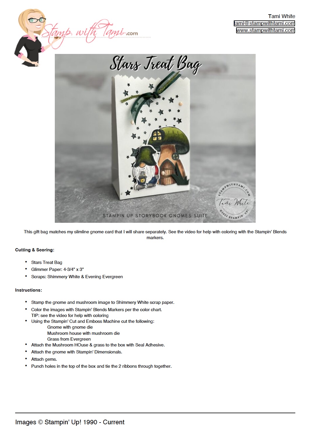 Storybook Gnomes [Stars Gift Bag] | Stampin Up Fun Fold Cards