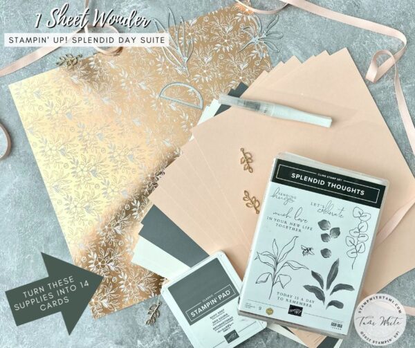 BLOG HOP & VIDEO: 1 SHEET WONDERS [SERIES PART 1] | Stampin Up ...