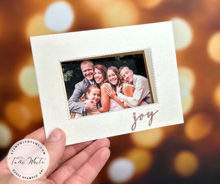 Pearlescent Set [Photo Card Series #16-18] | Stampin Up Fun Fold Cards