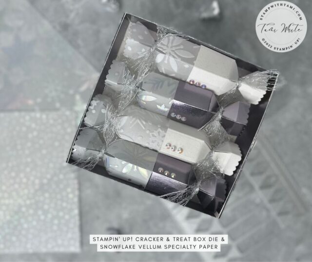 Snowflake Vellum [Party Cracker Series #7] | Stampin Up Party Crackers