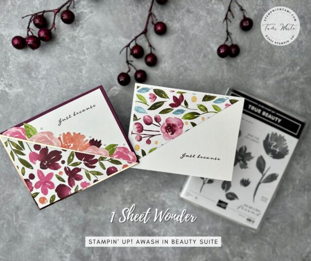 Santa Express [1 Sheet Wonder Series #4] | Stampin Up Party