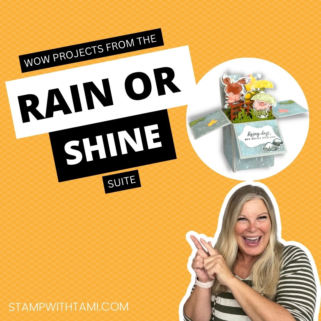 BLOG HOP & VIDEO: Rain or Shine Collection WOW Projects | Stampin Up ...