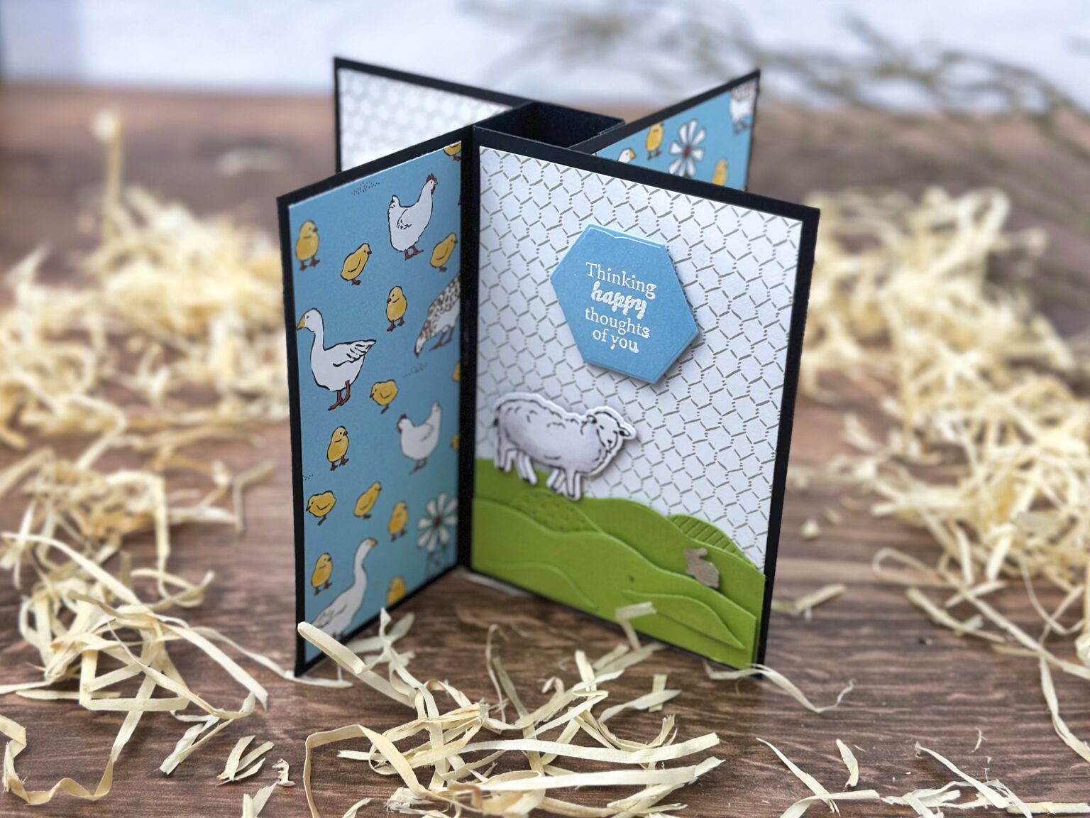 Day at the Farm 1 Sheet Wonder Slimline Cards | Stampin Up