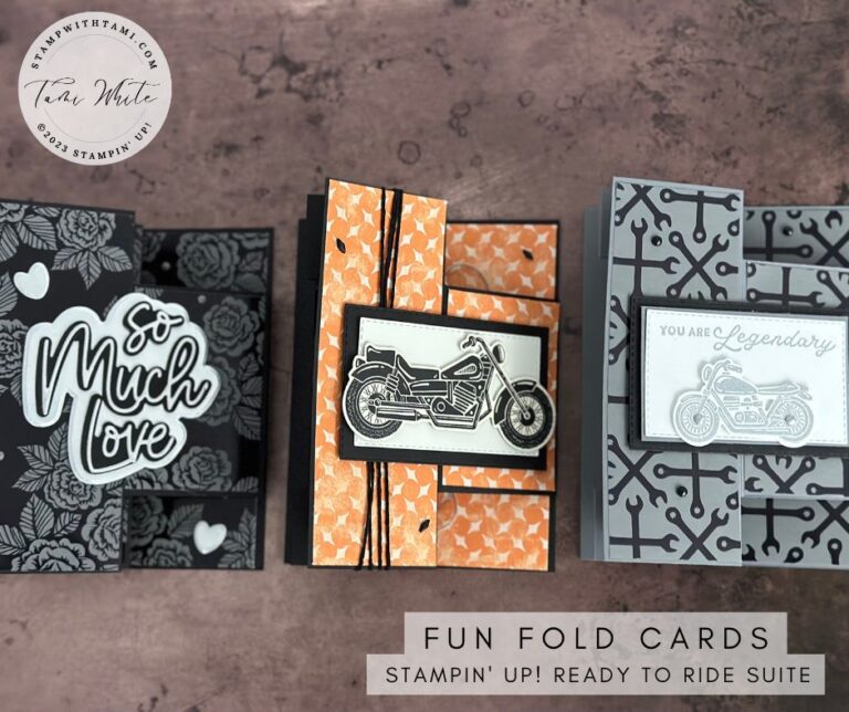 Pop Out Fun Fold Cards [Ready to Series #6-8] | Stampin Up