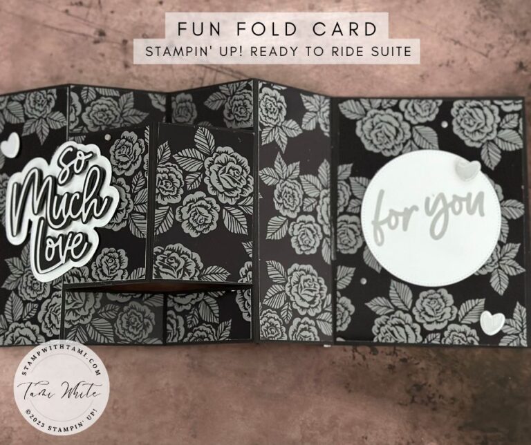 Pop Out Fun Fold Cards [Ready to Series #6-8] | Stampin Up