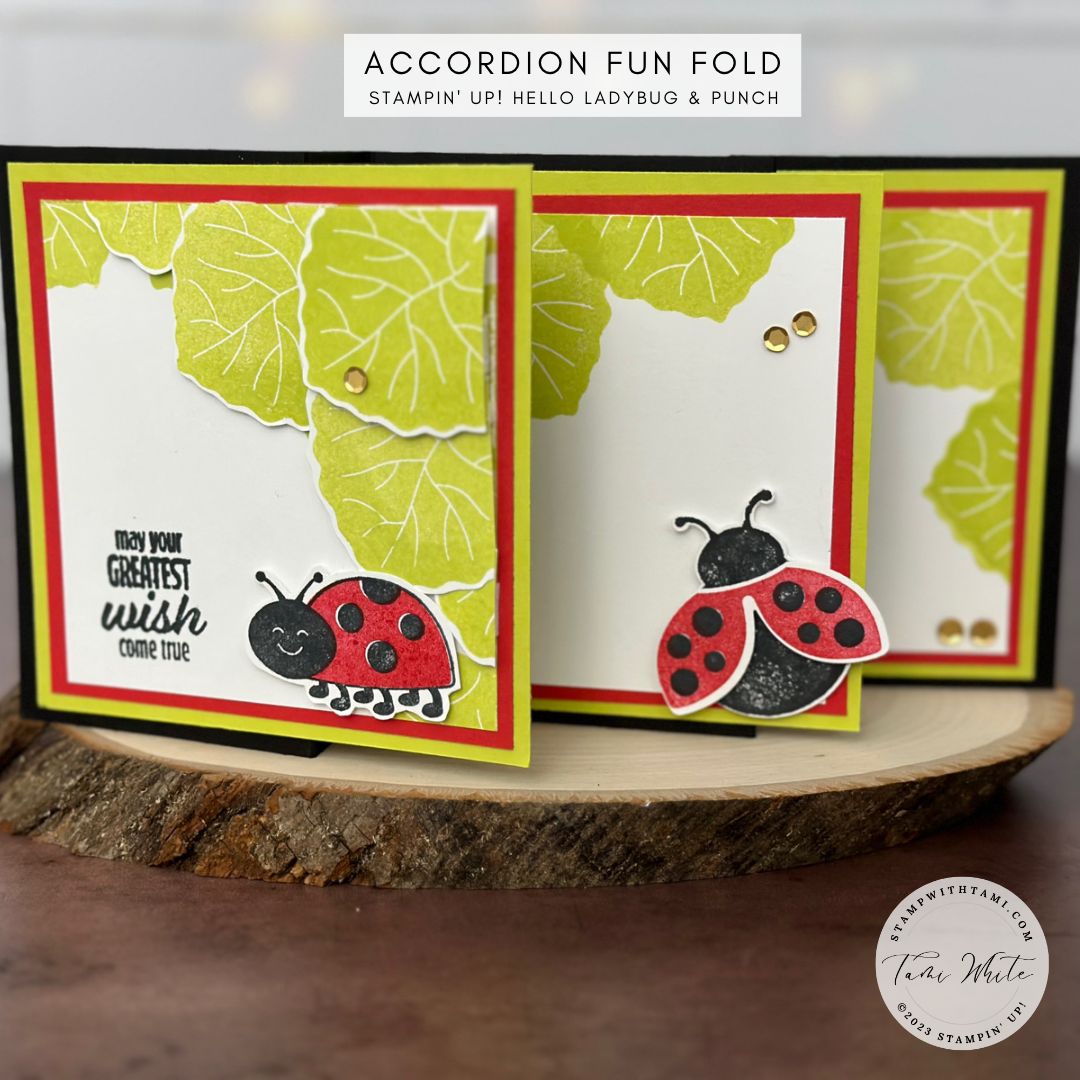 Hello Ladybug Accordion Fold [Series #6] | StampWithTami.com