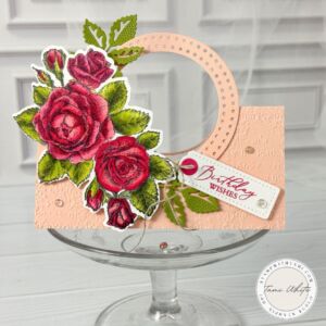 VIDEO CLASS: How to make circle wreath cards – Series #2 - Stampin' Up ...
