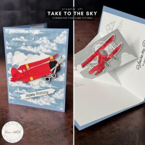 DELICATE WINGS ALTERNATE [CORNER FLIP FOLD SERIES #2] - Stampin' Up ...